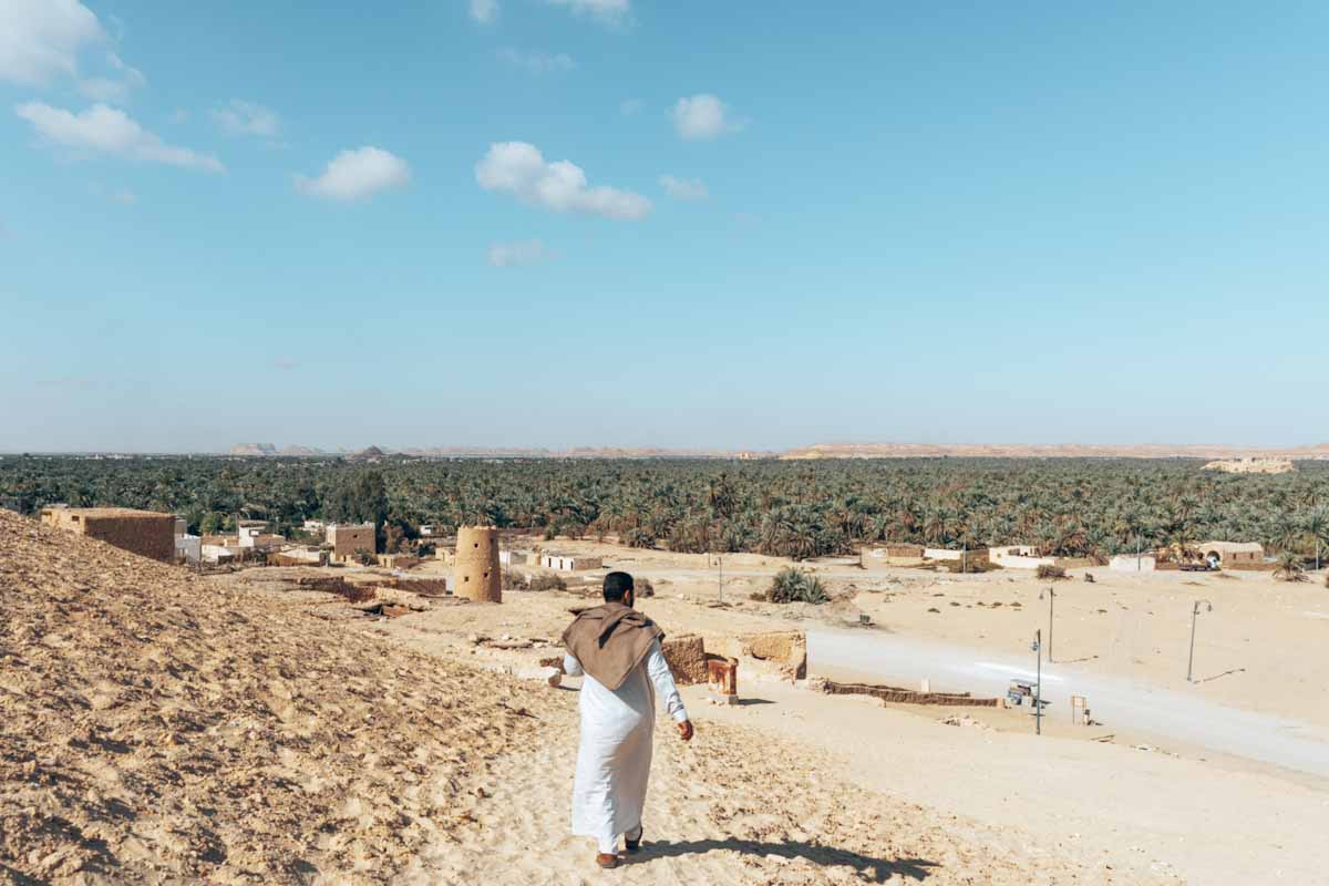 Visit Siwa Oasis from Cairo in 2025 & Things You Need to Know – Broken ...